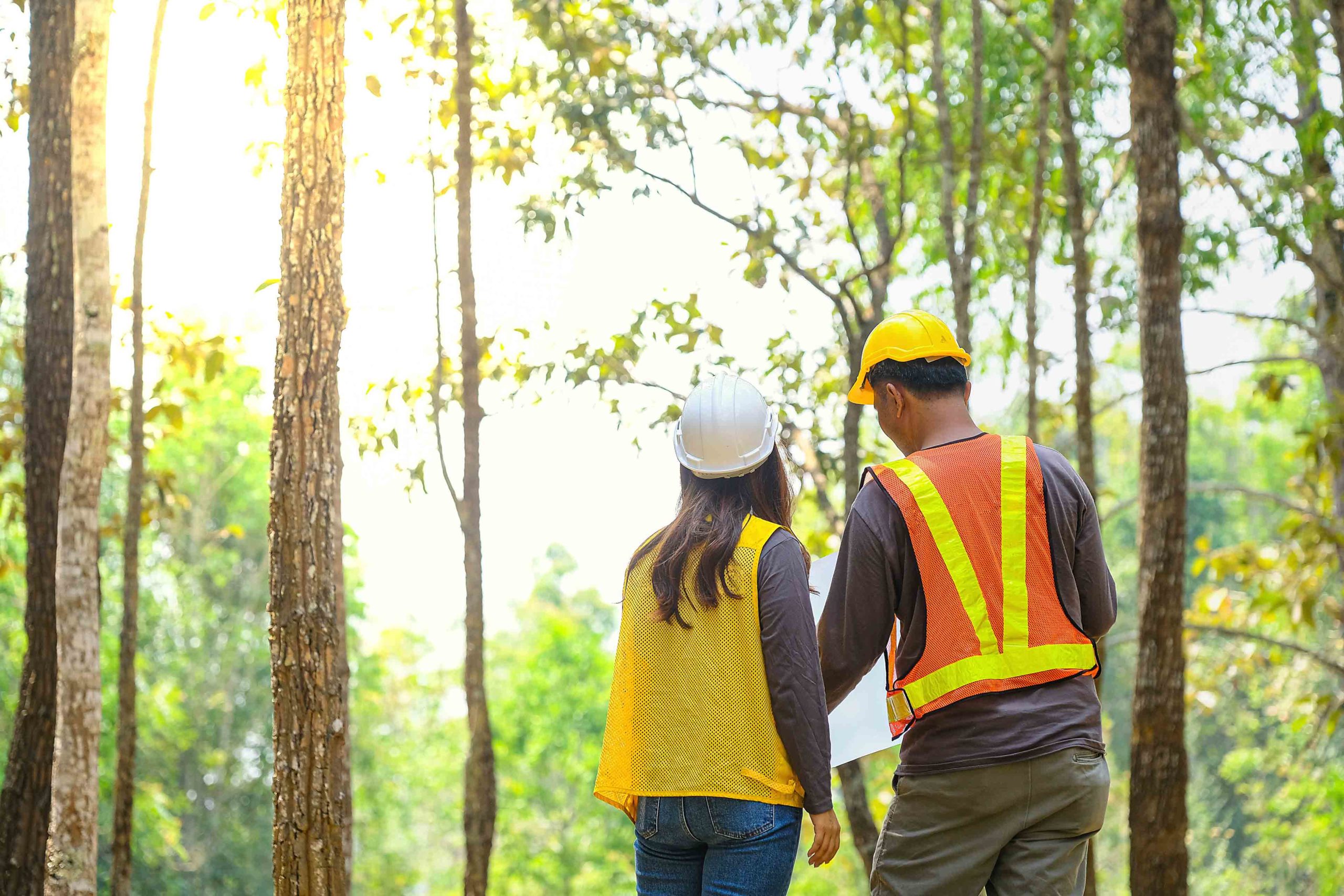 Sustainable Forestry Initiative (SFI) | Audit & Certification ...