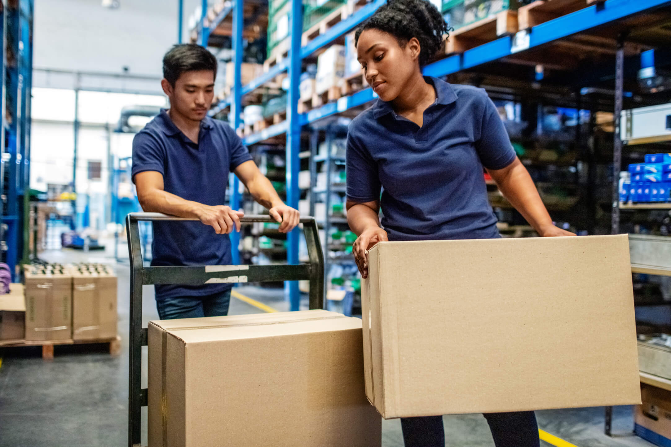 Government & Public Sector | Audit & Certification | Intertek SAI ...