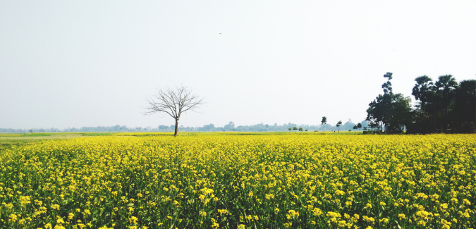 ISCC Certification | Sustainability Certification System | Audit & Certification | Intertek SAI ...